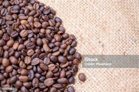 베트남의 아라비 카 커피 커피 원두는 무역에 사용 됩니다 가리기에 대한 스톡 사진 및 기타 이미지 가리기 갈색 건강한 식생활 Istock
