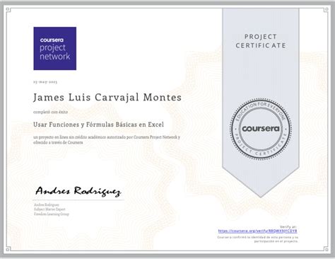 Coursera Usar Funciones Y Formulas Basicas En Excel Pdf