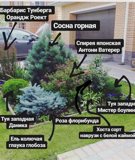 Идеи озеленения