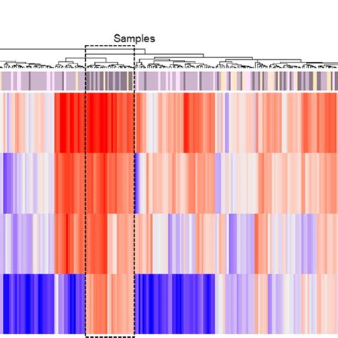 gastric discovery set unsupervised hierarchical clustering analysis