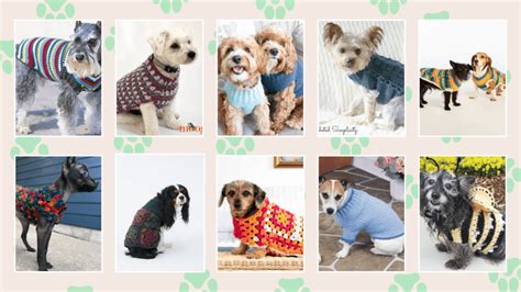 10 Free Easy Dog Sweater Crochet Patterns For Beginners