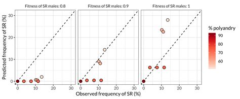 Population Genetic Model