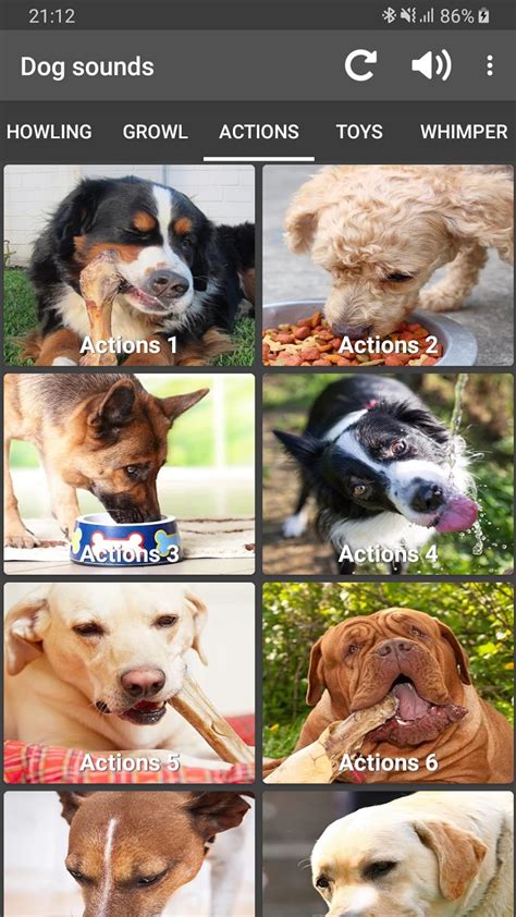 Dog Sounds For Android Download