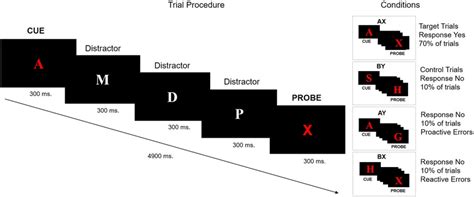 Ax Cpt Procedure On The Left A Typical Trial Of The Task Is Presented