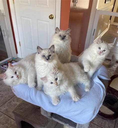 Jl Troupe Company Inc Added A Jl Troupe Company Inc