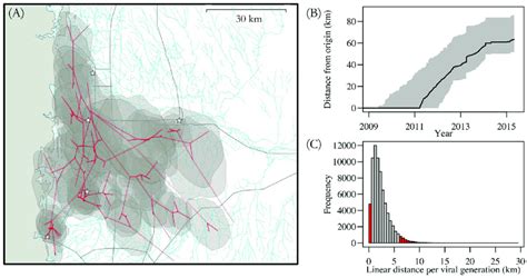 phylogeographic inference of viral spatial dynamics a spatio temporal