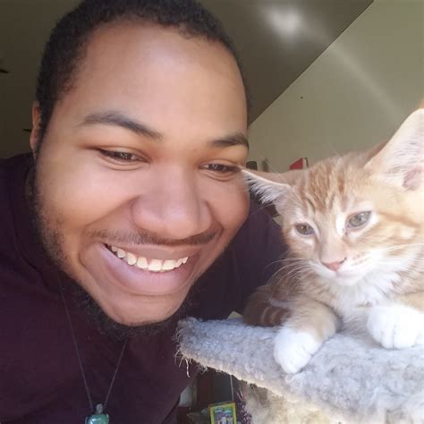 mrw when you make your first post and have kitten tax album on imgur