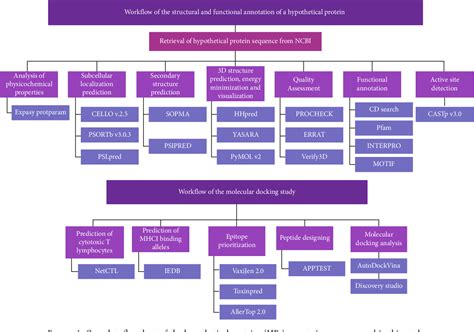 Figure 1 From Structural And Functional Annotation And Molecular Docking Analysis Of A