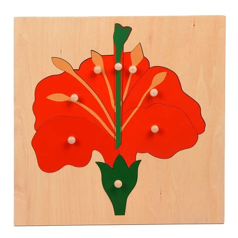 بازل الزهرة مؤسسة المنتسورى الدولية