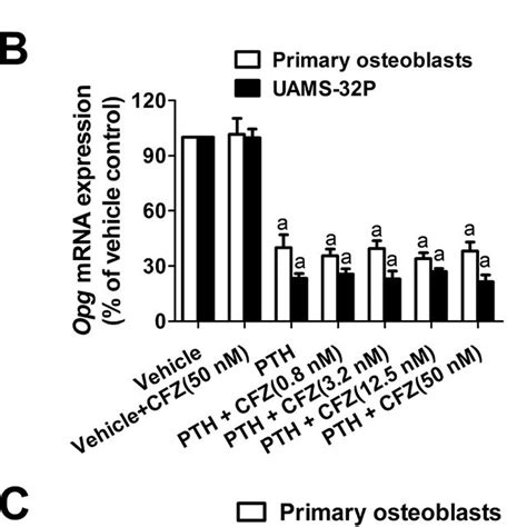 Cfz Suppresses Pth Induced Rankl Expression Without Affecting Pth Download Scientific Diagram