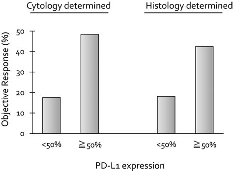 Objective Response Rate Orr To Immune Checkpoint Inhibitors Icis