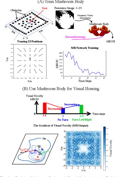 Figure 2 From A Bio Inspired And Solely Vision Based Model For Autonomous Navigation Semantic