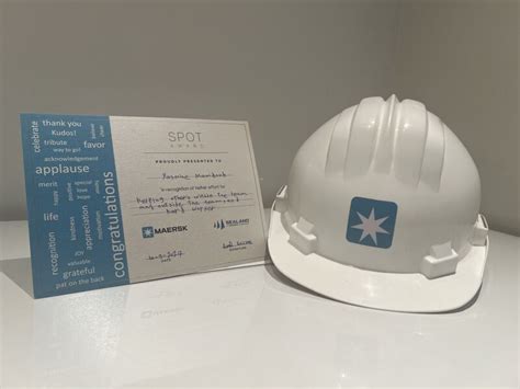 Excited To Share That I ‘ve Received My Second Spot Award From Ap