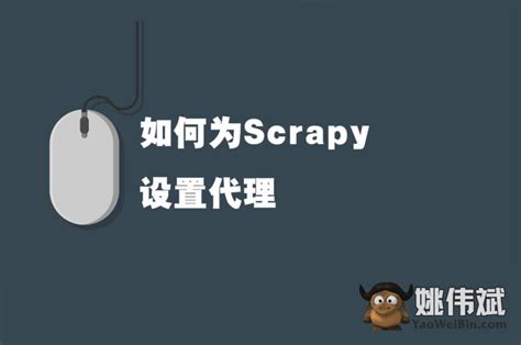 如何在python中使用请求设置用户代理 姚伟斌