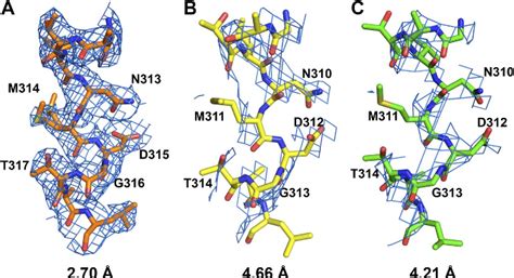 Crystallography Data Analysis Creative Biostructure