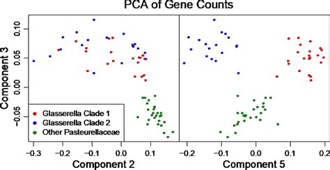 Genes Of Variable Copy Number Ie The Accessory Genome Distinguish