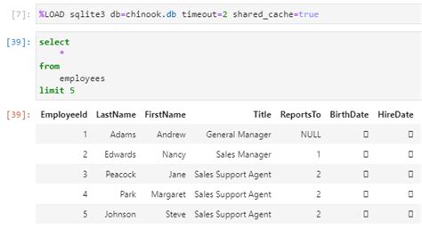 Change Date Formatting To A More Standard One Issue Jupyter Xeus Xeus Sql GitHub