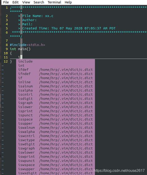 Vim 自动补全代码（真香） （亲测有用！）找了好久vim自动补全代码 亲测有用 Csdn博客
