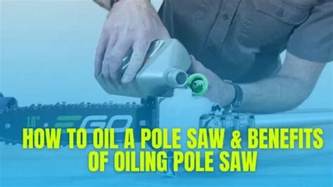 What Type Of Oil For Pole Saw A Comprehensive Guide To Choosing The