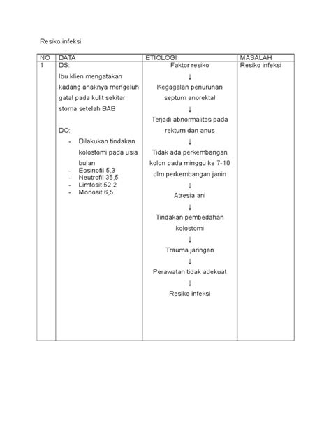 Analisa Data Resiko Infeksi Pdf