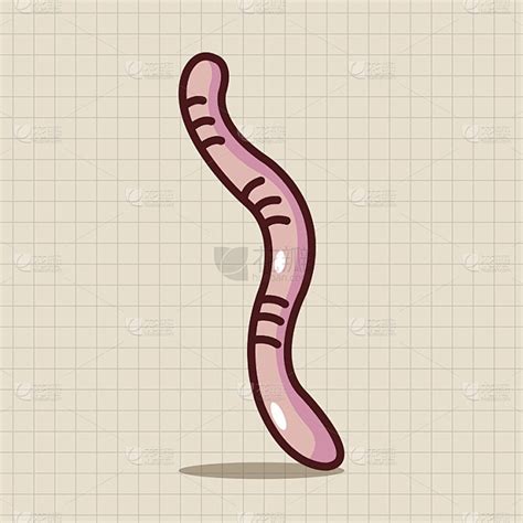 Bug卡通元素向量，eps