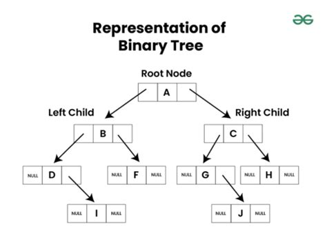 Binary Tree Flashcards Quizlet