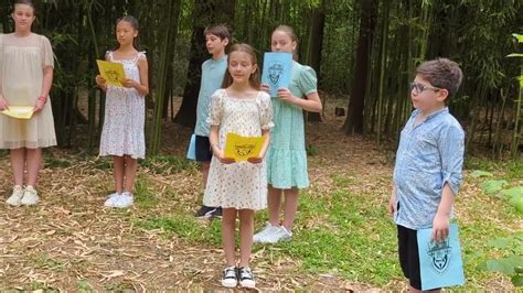 ნიკო ნიკოლაძის სკოლა Youtube