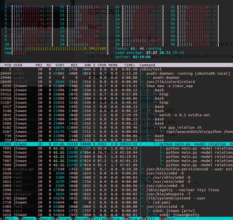 CPU Usage Extremely High PyTorch Forums