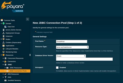 Payara For Beginners Integrating Payara Server With Oracle 11g Xe