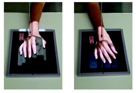 Finger Thumb Hand Flashcards Quizlet