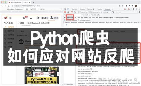 【道高一尺，魔高一丈】python爬虫之如何应对网站反爬虫策略 知乎