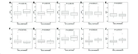 The Boxplot Of Phenotypic Difference Between The Major Alleles And
