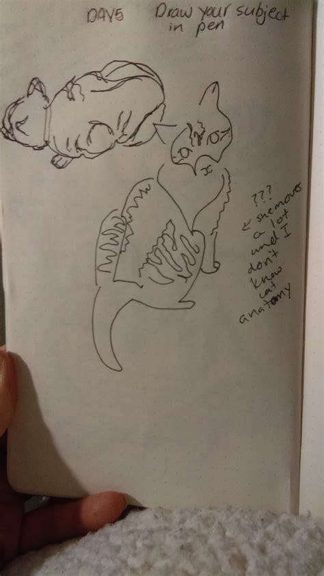 Sketch Daily Challenge Day 5 Album On Imgur