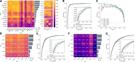 Transformer Based Biomarker Prediction From Colorectal Cancer Histology A Large Scale