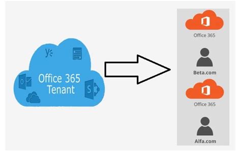 how to find your existing microsoft 365 tenant domain name sourceit