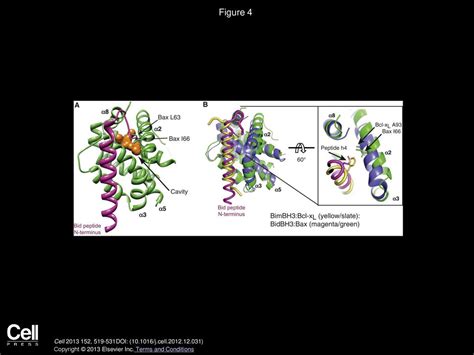volume 152 issue 3 pages january 2013 ppt download