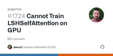 Cannot Train LSHSelfAttention On GPU Issue Google Trax GitHub