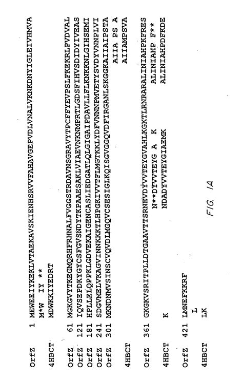 Biological Systems For Manufacture Of Polyhydroxyalkanoate Polymers Containing 4 Hydroxyacids