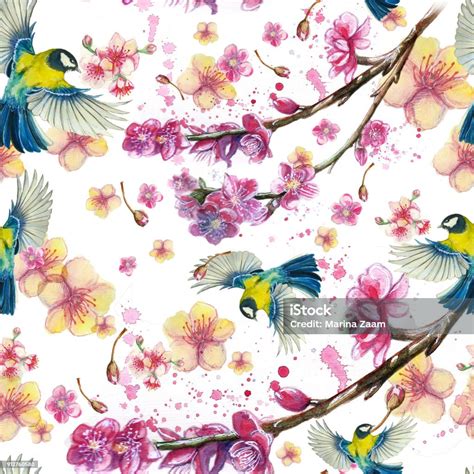 수채화의 주제에 완벽 한 패턴을 그리기 열 비행 오픈 날개 깃털 노란색 유 방 및 파란 깃털 꽃 사쿠라 지점 사실화 참새목 모양의 큰 가슴의 새의 그림 핑크 F 4월에 대한