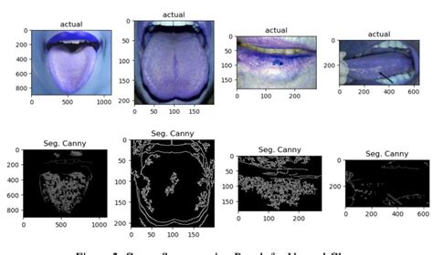 Figure 2 From Effectiveness Evaluation Of The Randomforest Algorithm In