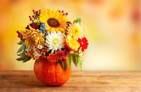 November Birth Flowers Colors Symbolism Tattoos Parade