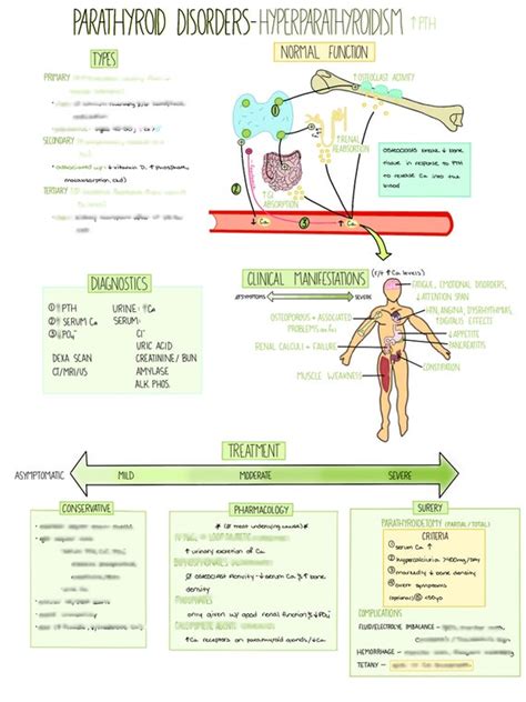 Hyperparathyroidism Nursing Notes Etsy