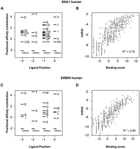 Correlation Between Binding Score And Binding Affinity A And C PWMs Download Scientific