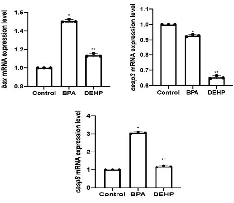 Bax Casp3 And Casp8 Transcripts Quantified By Rt Pcr All Rt Pcr Download Scientific Diagram