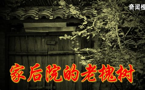 家后院的老槐树丨奇闻异事丨民间故事丨恐怖故事丨鬼怪故事丨灵异事件丨 夜听故事丶奇闻怪谈录 夜听故事丶奇闻怪谈录 哔哩哔哩视频