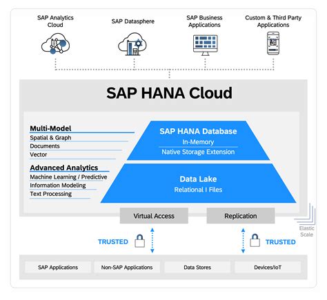 Sap Png