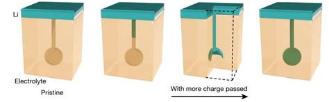 Dendrite Initiation And Propagation In Lithium Metal Solid State