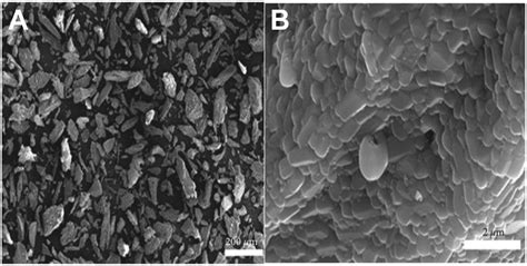 Extraction Of Natural Hydroxyapatite For Biomedical Applications—a Review Heliyon