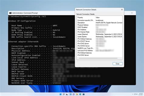 how to check network connection details and status on windows 11 common
