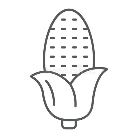 Corn Thin Line Icon Farm And Harvest Sweetcorn Sign Vector Graphics A Linear Pattern On A